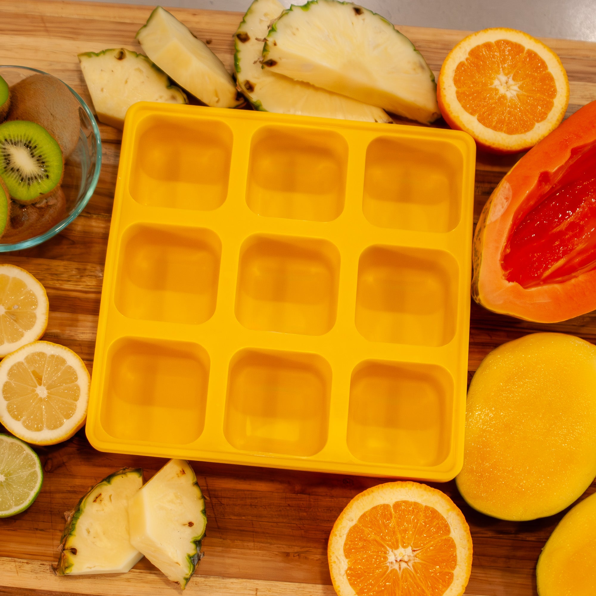 Smootheeze Freezer Trays